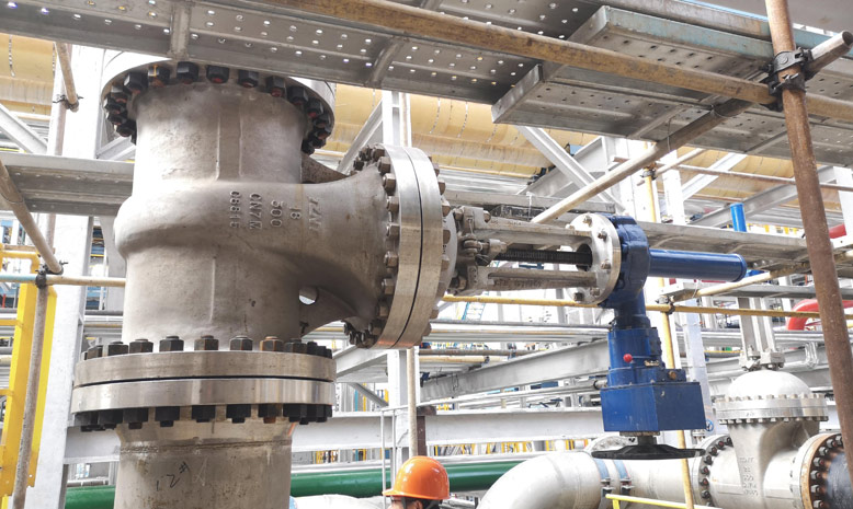 Super austenit ische Tor ventile Manufacturer/Company | WSV Valve